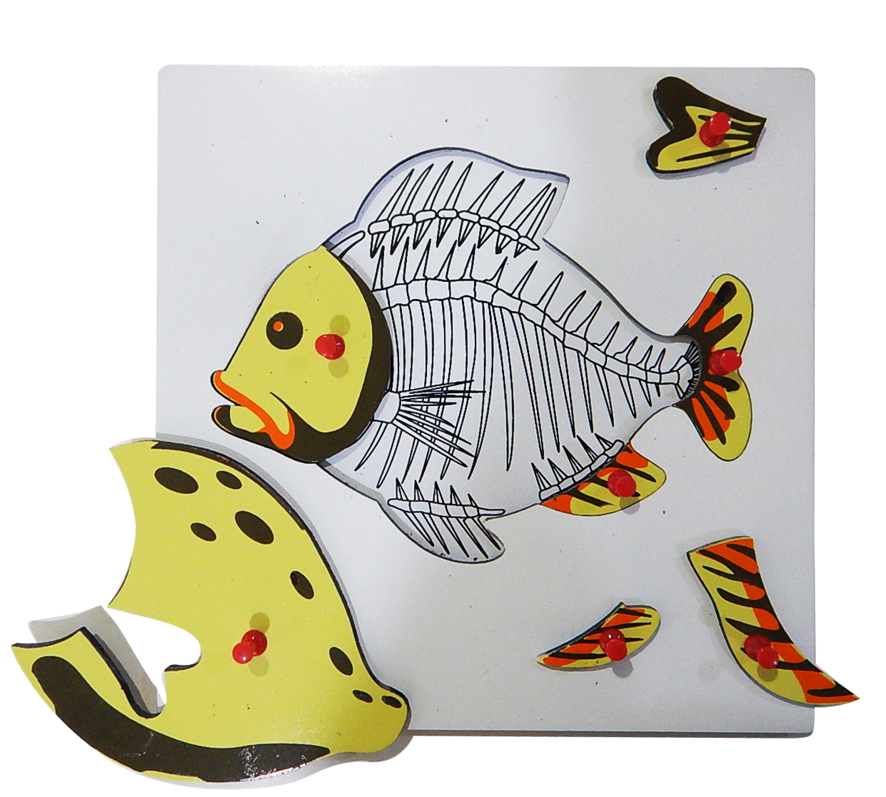 แผ่นต่อภาพรูปโครงกระดูกปลา (Fish skeleton Puzzle) - AlterAce