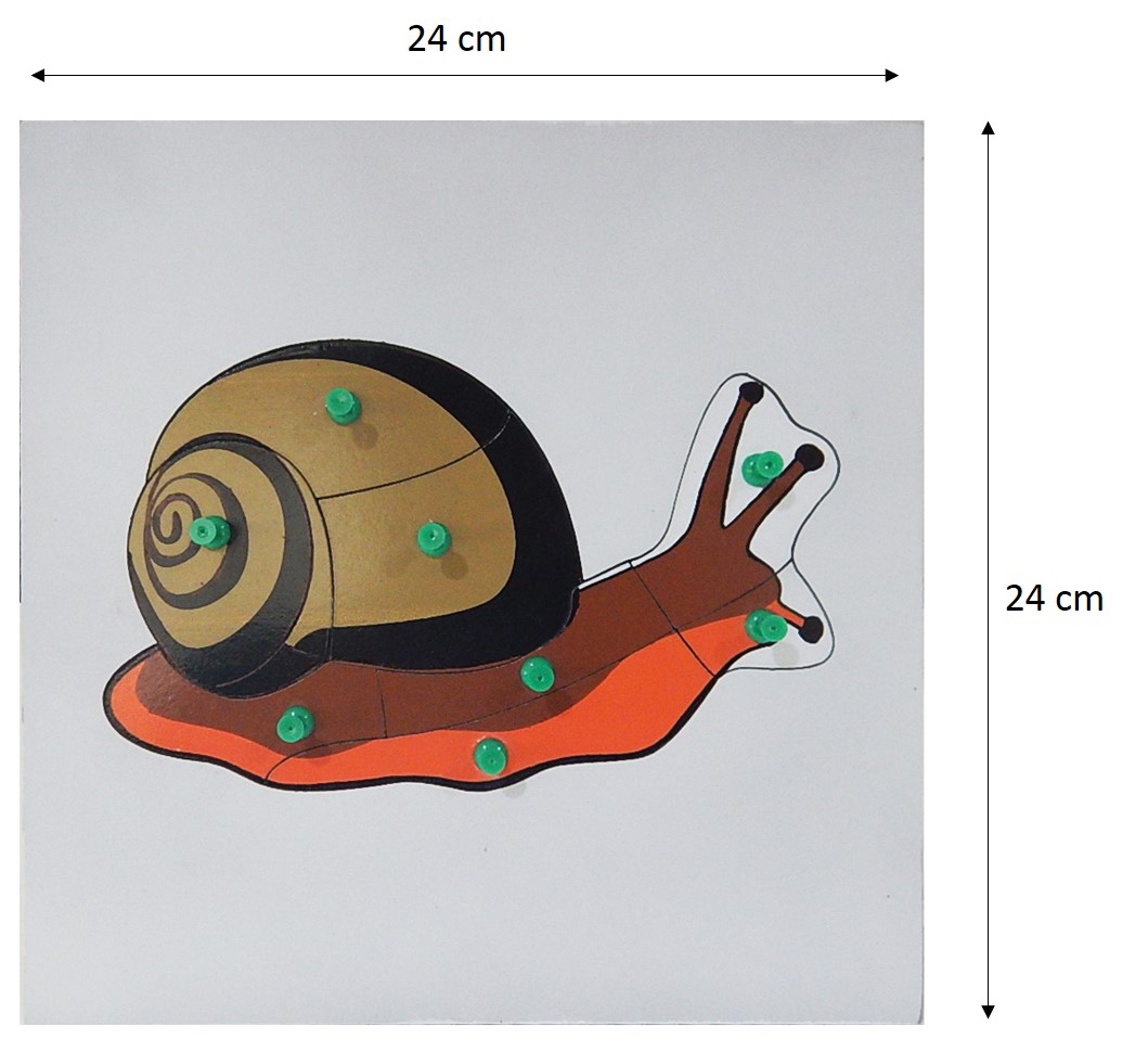 แผ่นต่อภาพรูปหอยทาก (Snail Puzzle) - AlterAce